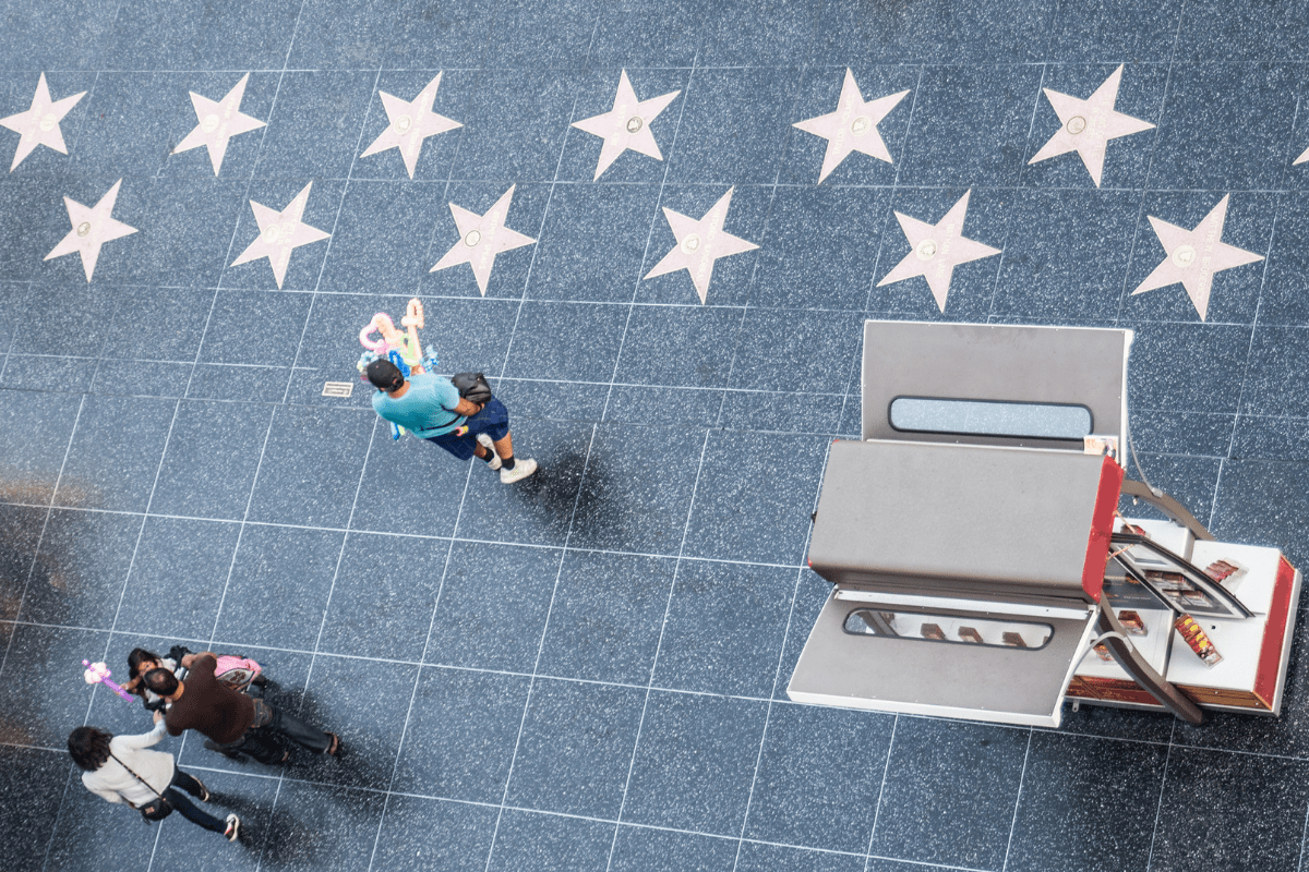 Calçada da Fama: História, Categorias e Homenageados