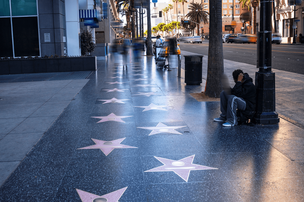 Calçada da Fama: História, Categorias e Homenageados
